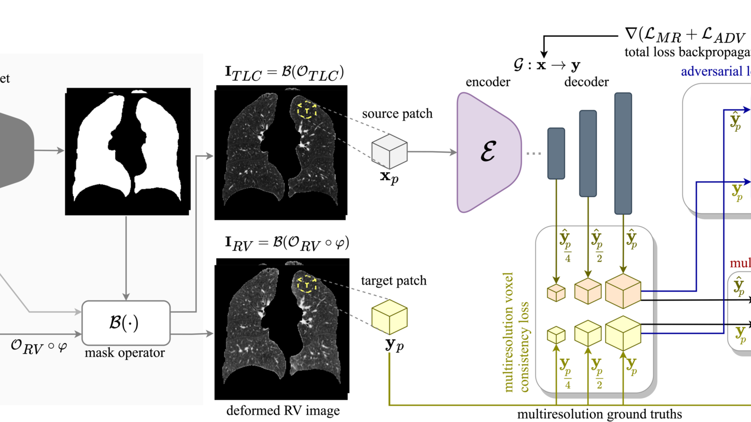 The Reinhardt Biomedical Imaging Lab | The University of Iowa